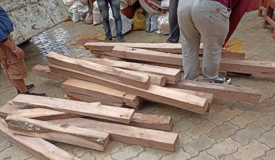 Dhankuta exports timber worth more than 500 million
