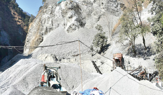 Nerpa wins Anup memorial Gold Cup tournament