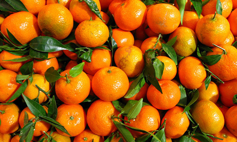 Parbat exports orange worth around Rs 300 million