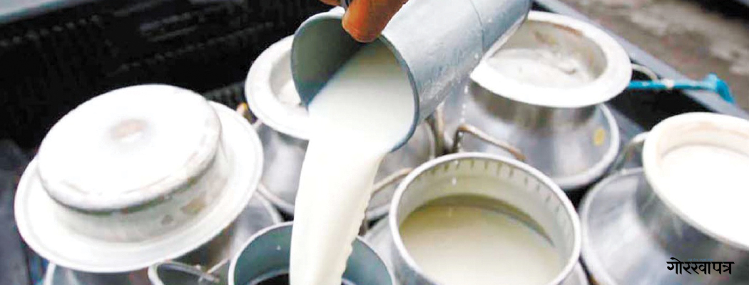 Govt responds to farmers' woes, increases milk price