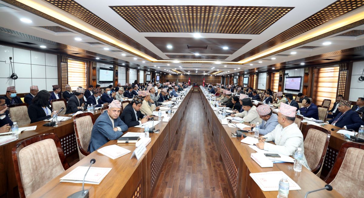 NDAC's 50th meeting: Clear arrears promptly