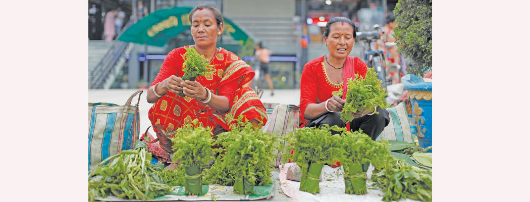 Bhotkhola faces food crisis