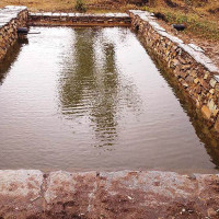 Three Student Association form alliance in FSU elections