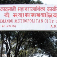 Rong Rural Municipality branding Gundruk, Sinki