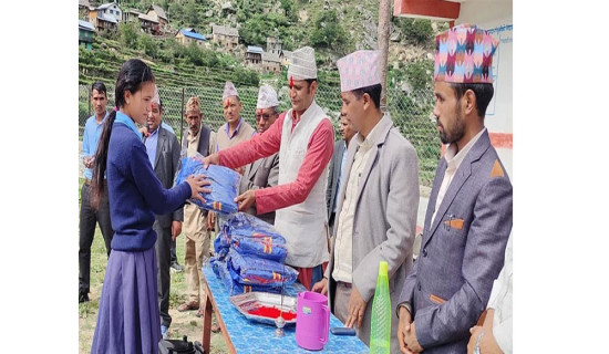 Market for electricity export getting assured: Ghishing