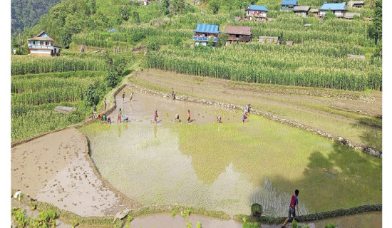 Copper ores found in Musikot