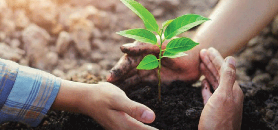 National Soil Conservation Day being marked today
