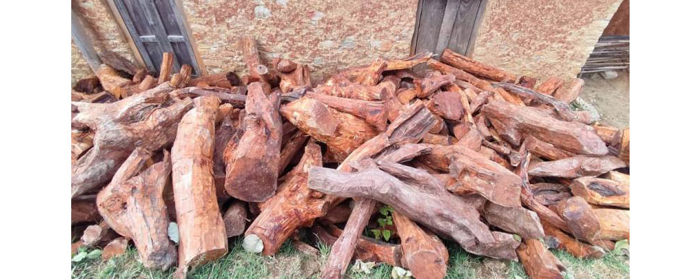 Timber smuggling from Khotang forest confirmed