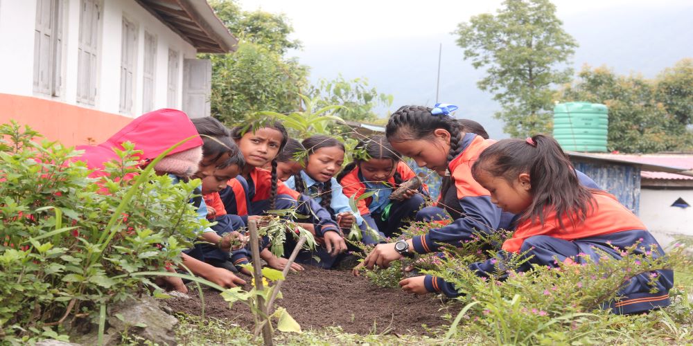 UWS students plant 6,000 plants to mark World Environment Day