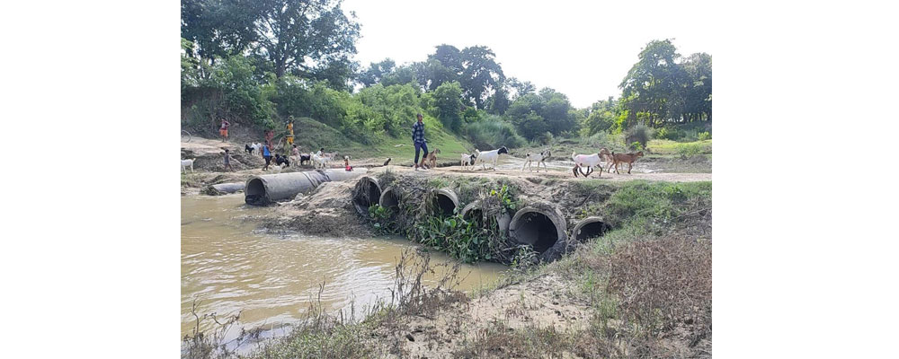 SSB obstructs temporary bridge construction