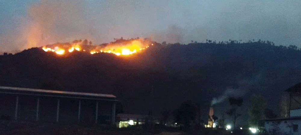 Forest fire started at different community forests of Myagdi still out ...