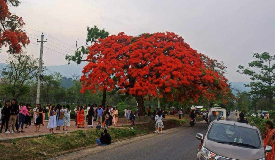 The Rising Nepal | Nepal's First English Broadsheet Daily.