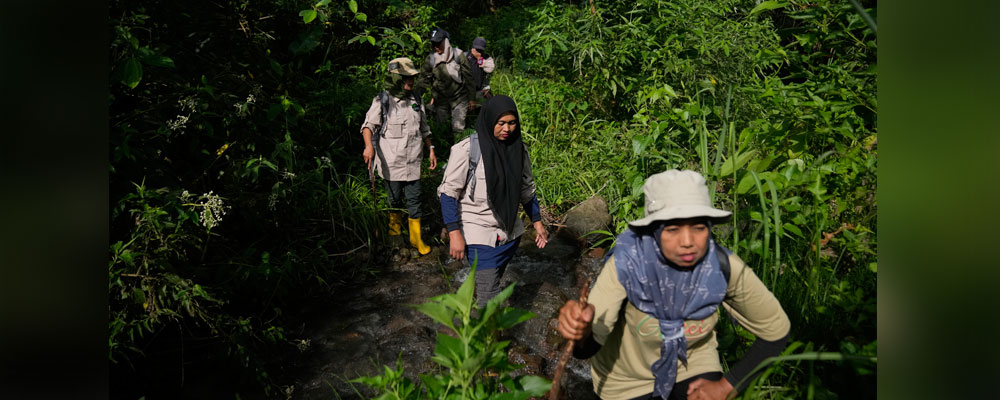 Indonesian women ranger teams go on patrol to slow deforestation