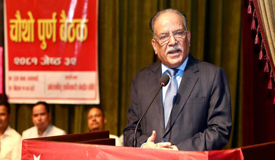 Province Assembly member Devkota relieved of post