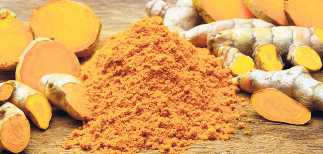 Commercial turmeric farming in Ilam