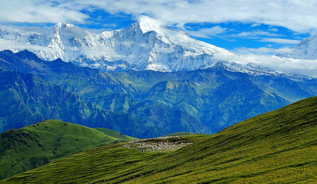 The Rising Nepal | Nepal's First English Broadsheet Daily.